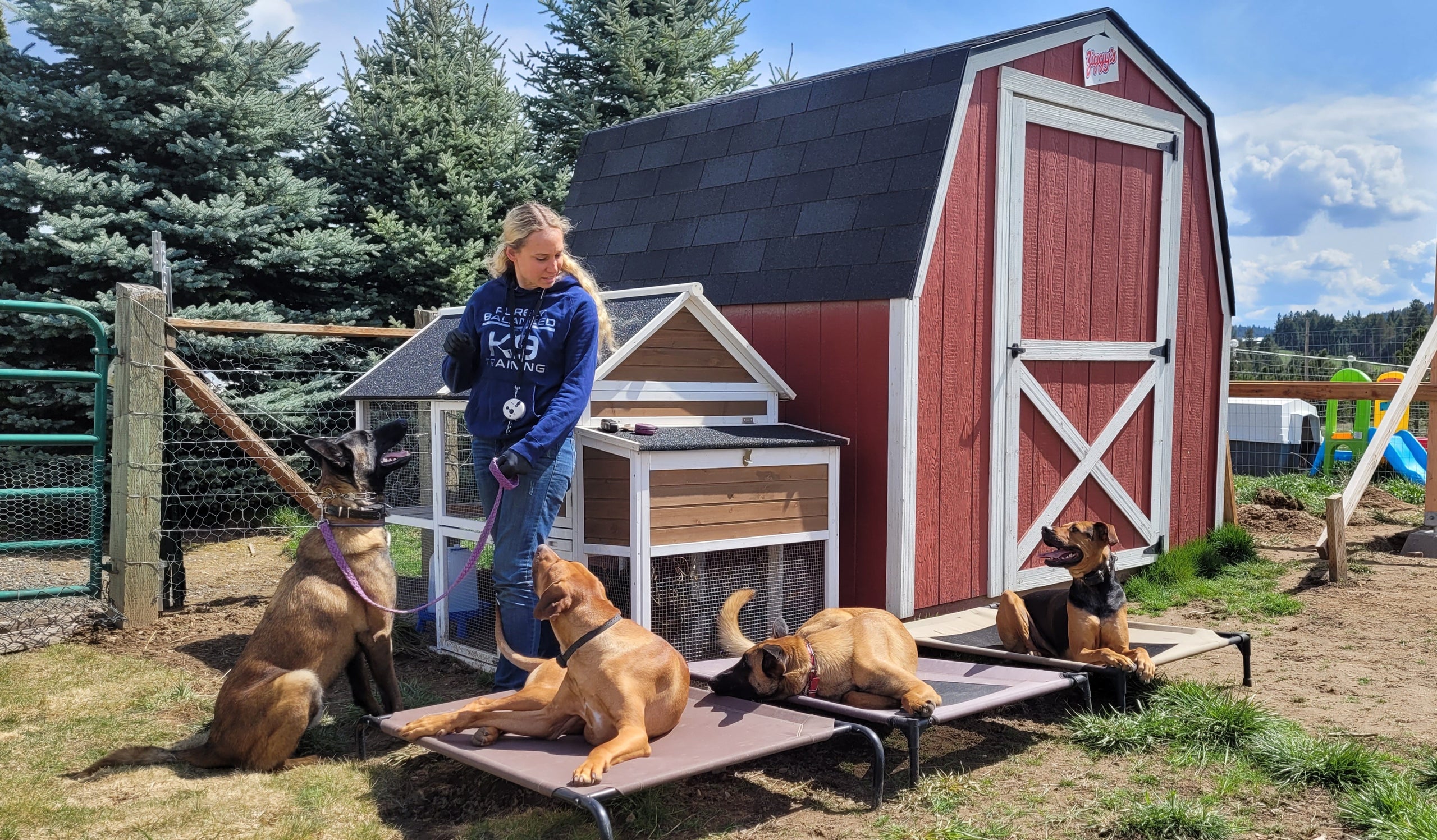 4 Week B&T - Severe Behavior Modification | Purely Balanced K9 Training 509-844-3523